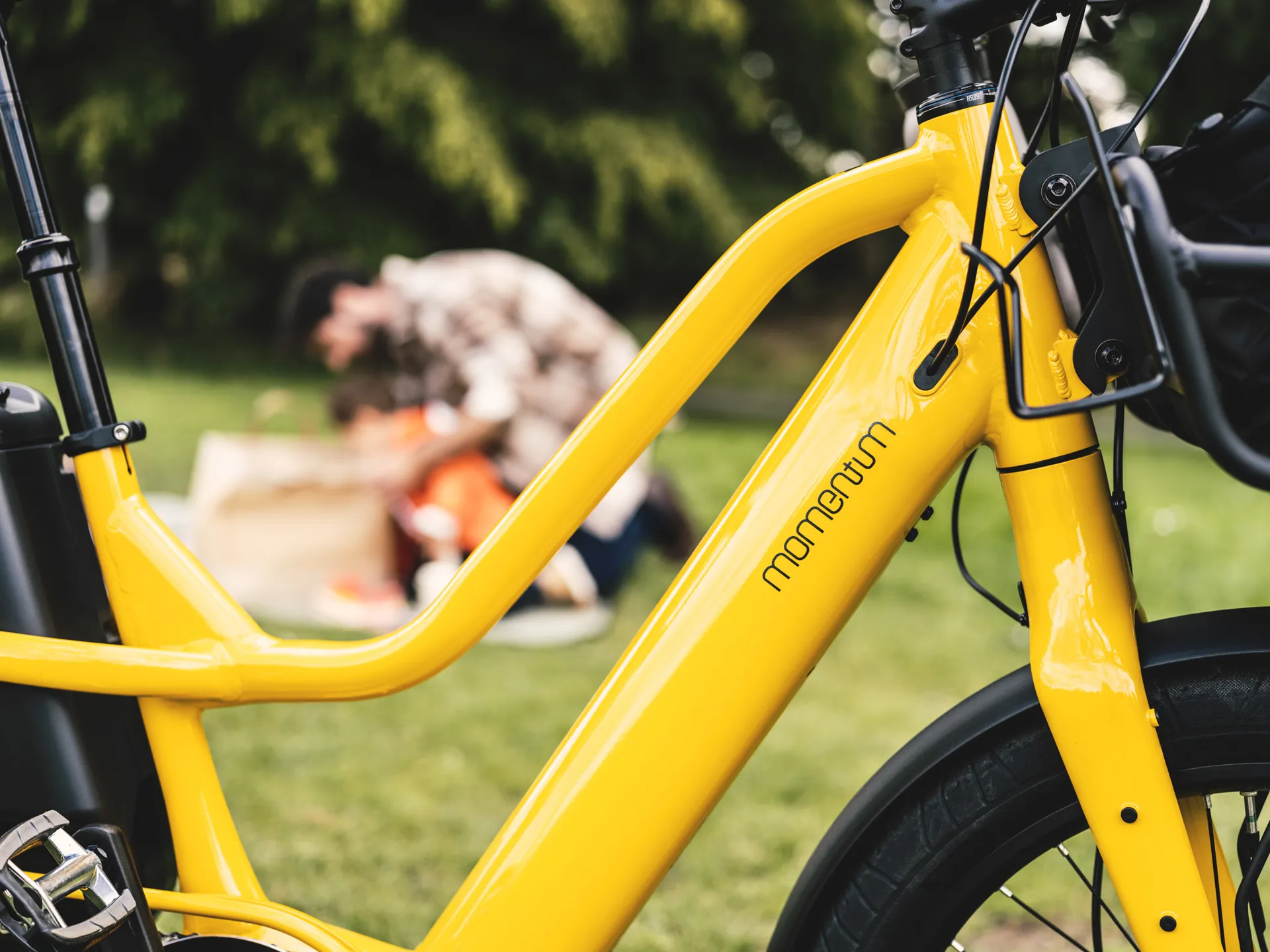 Momentum PakYak E+ Cargo eBike